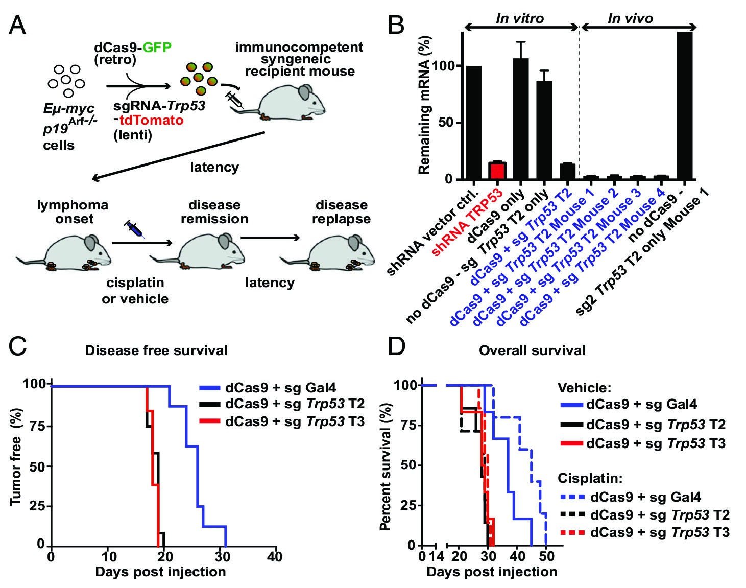 dCas9技术应用案例之二： dCas9 介导的转录微扰对肿瘤表型的多功能体内调节-dCase9应用案例-SCI文献赏析-广州赛诚生物科技有限 ...