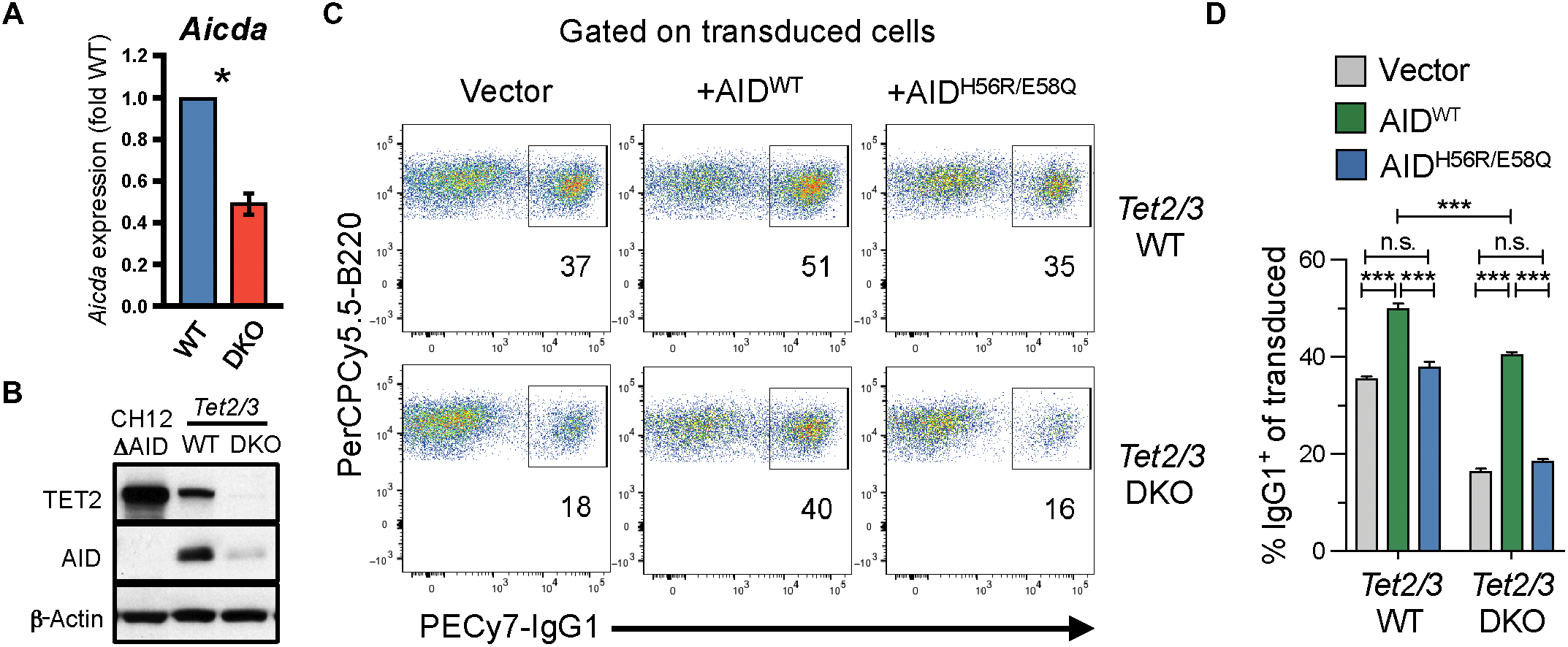 DNA甲基化文献赏析之三： TET酶通过对Aicda超级增强子上的5-hmC修饰增强活化诱导的脱氨酶（AID）表达-DNA甲基化修饰-SCI ...